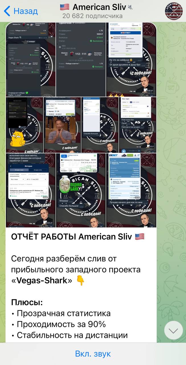 Полный обзор American Sliv - складчина спортивных прогнозов